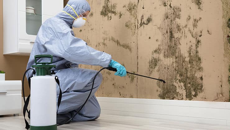 Reliable Pest Control: Professional Exterminators | 24H Pest Pros