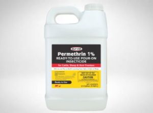 Does Permethrin Kill Bed Bugs? Is It Safe And Effective?