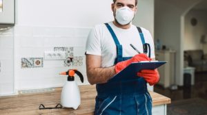 How To Get Rid Of Fleas In The House? Flea Control Guide