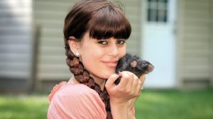 How Long Do Rats Live? The Lifespan Of Rats | 24H Pest Pros