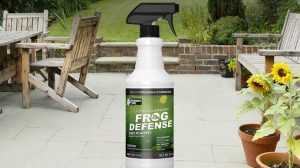How To Get Rid Of Frogs And Toads? Homeowners Guide - 2022