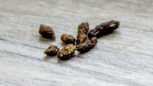 What Does Mouse Poop Look Like? Identify Mouse Dropping